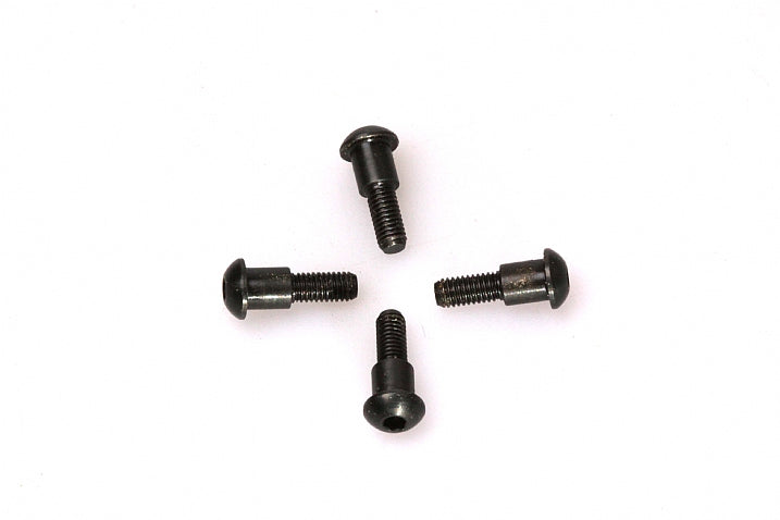 Steering Screw Stepped (4) - Evolution Models