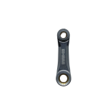 Home Page - Evolution Models