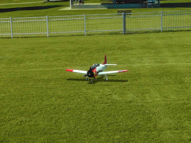 RealFlight Evolution RC Flight Simulator Software Only - Evolution Models